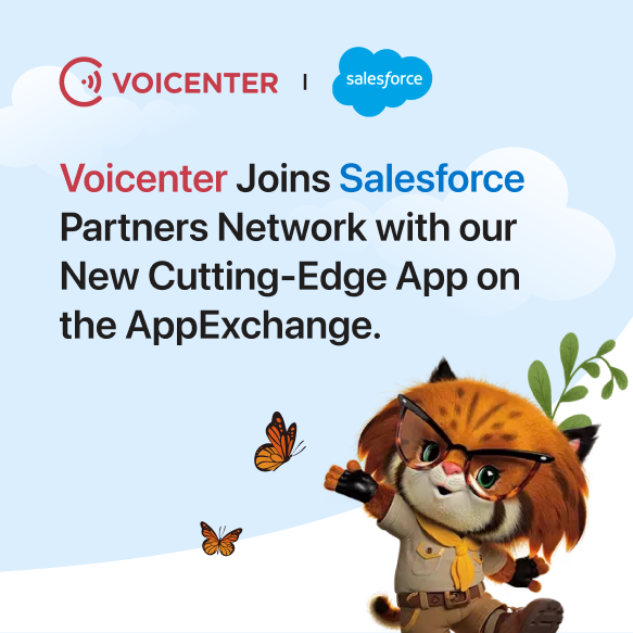 Voicenter | Salesforce managed package